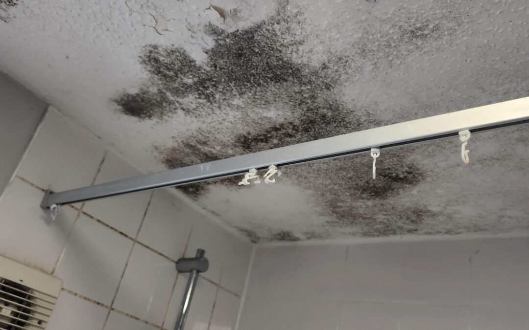 Mobile Home Bathroom Ceiling Mold | Freedom Subfloor Division